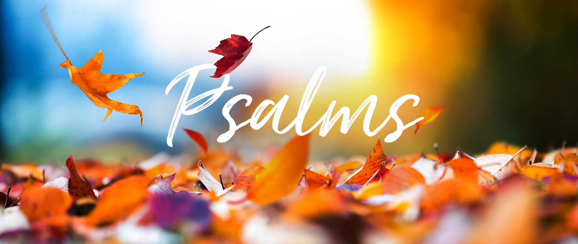 Psalms - Calvary Church