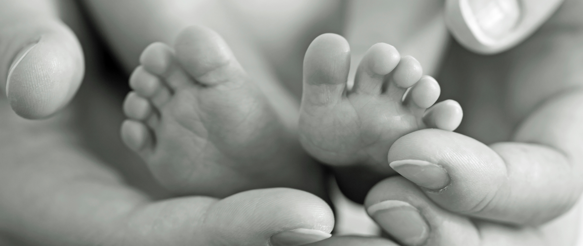 Sanctity of Life Sunday - Calvary Church Sanctity of Life Sunday - Calvary Church