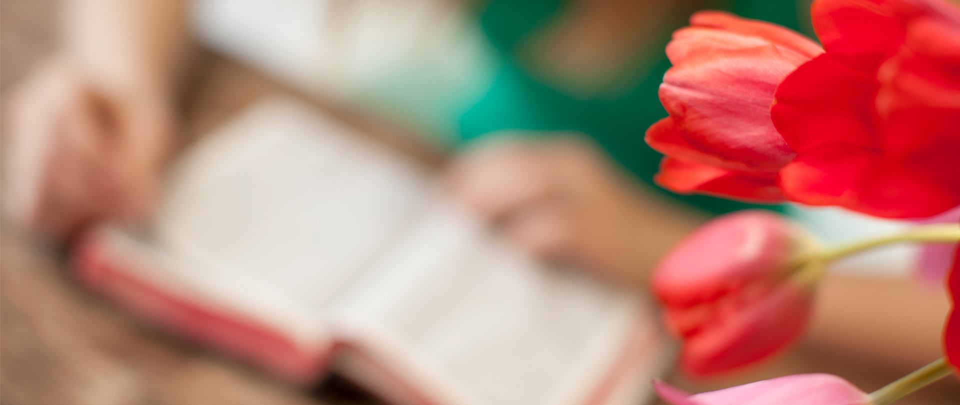 Women's Spring Bible Study - Calvary Church